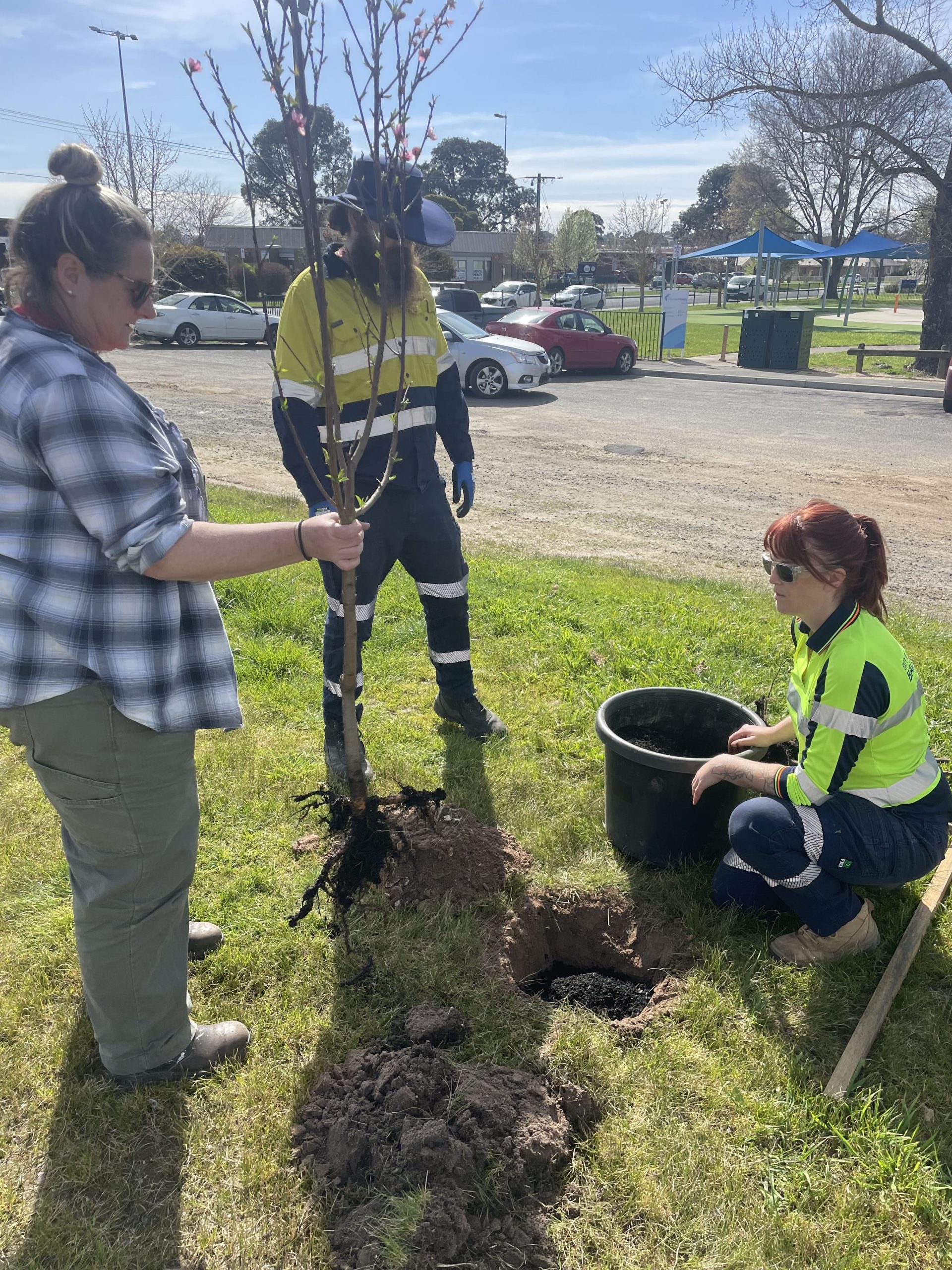 Victory Park Micro-Orchard Loading… – The Hidden Orchard