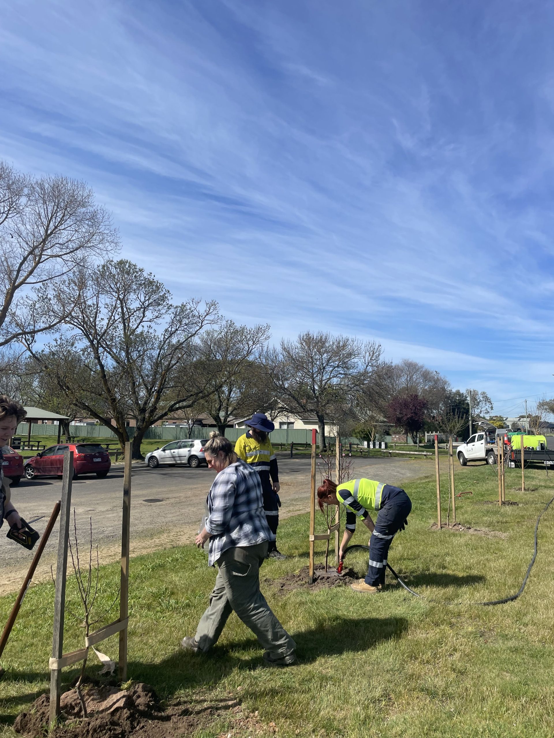 Victory Park Micro-Orchard Loading… – The Hidden Orchard